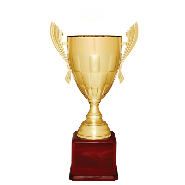 Giant Trophy Cup, Gold – Half Price Awards
